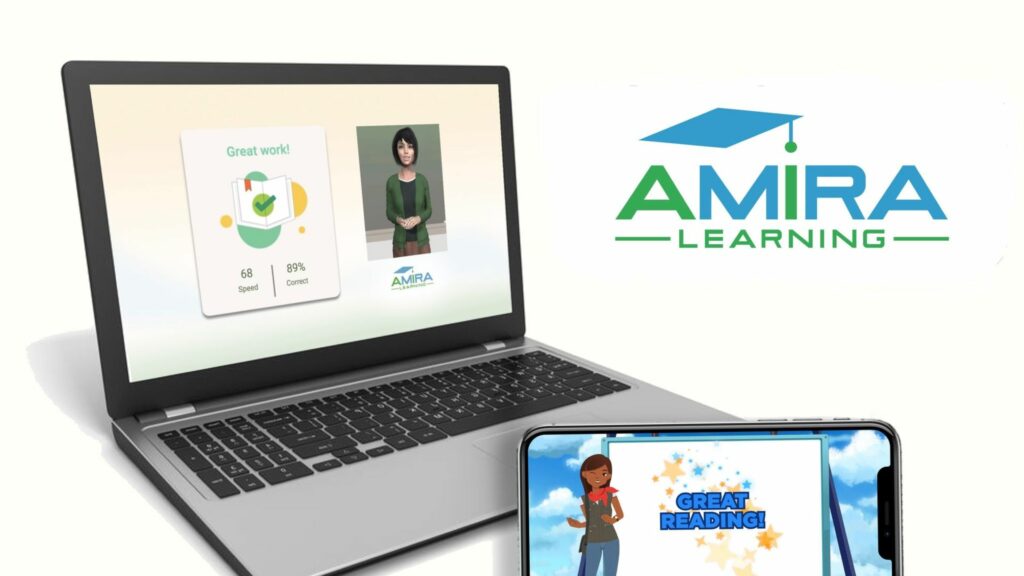 Our Experience | LoEstro