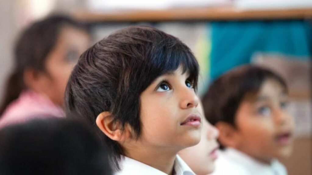 Our Experience | LoEstro