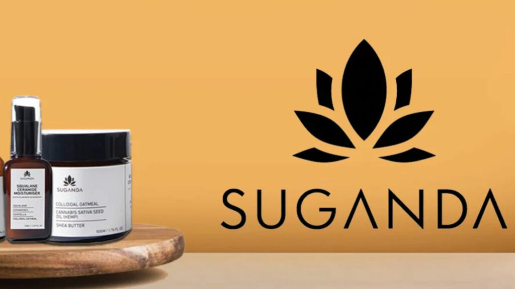 Our Experience | LoEstro